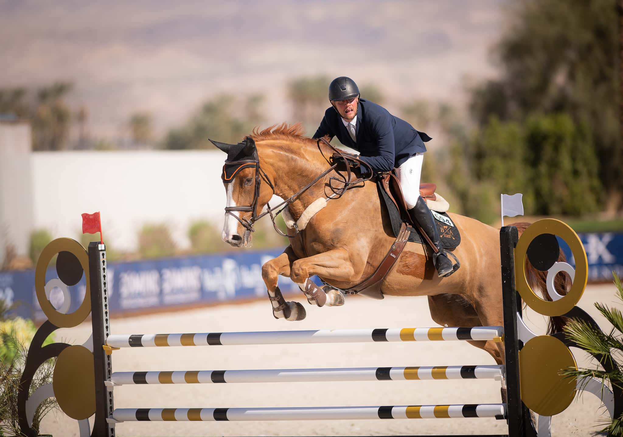 Gordon Web Solutions - A Premier Web Design Company